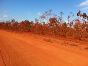 Napranum No 8 on Black Star | QRAM